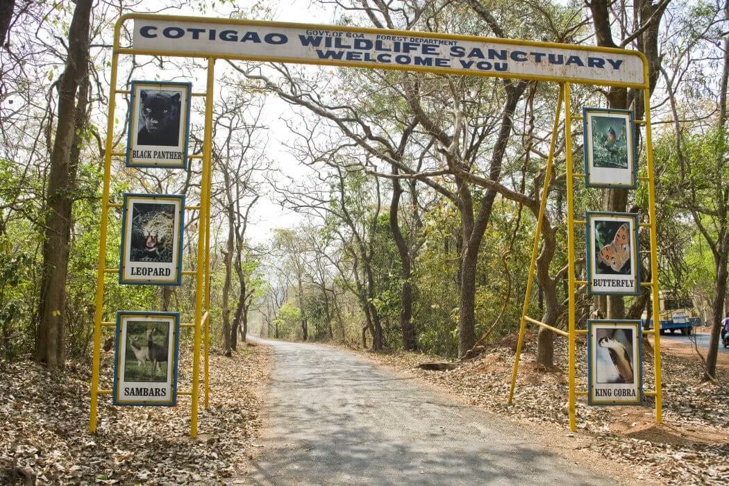Places To Visit In South Goa Other Than Beaches - All About Goa
