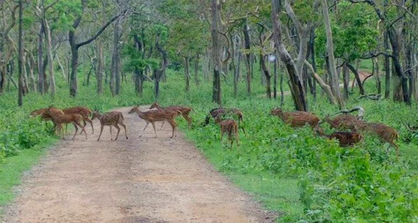 Places To Visit In South Goa Other Than Beaches - All About Goa