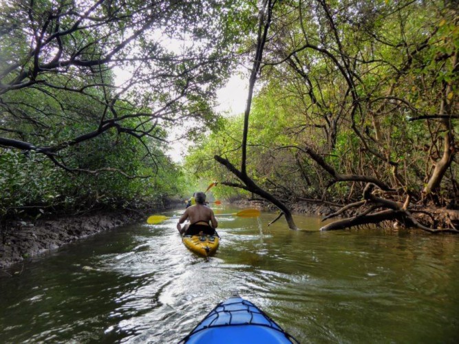 Kayaking In Goa - All About Goa