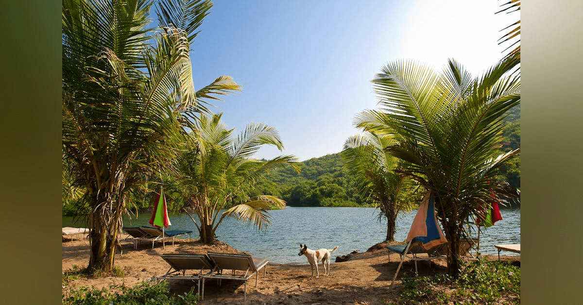Lakes In Goa - All About Goa