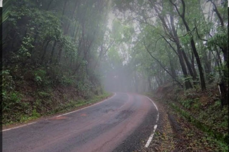 Best Places To Visit In Goa During The Monsoon - All About Goa