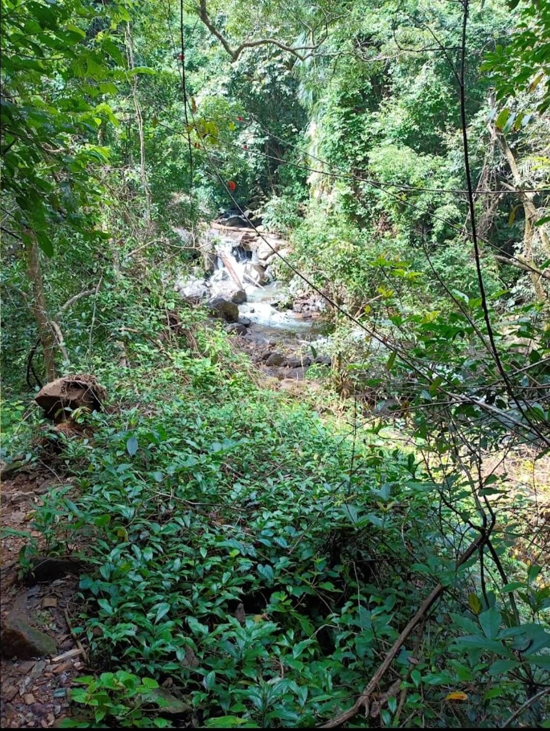 Best Points For Trekking In Goa - All About Goa