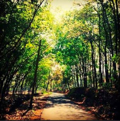 Top Haunted Places In Goa - All About Goa