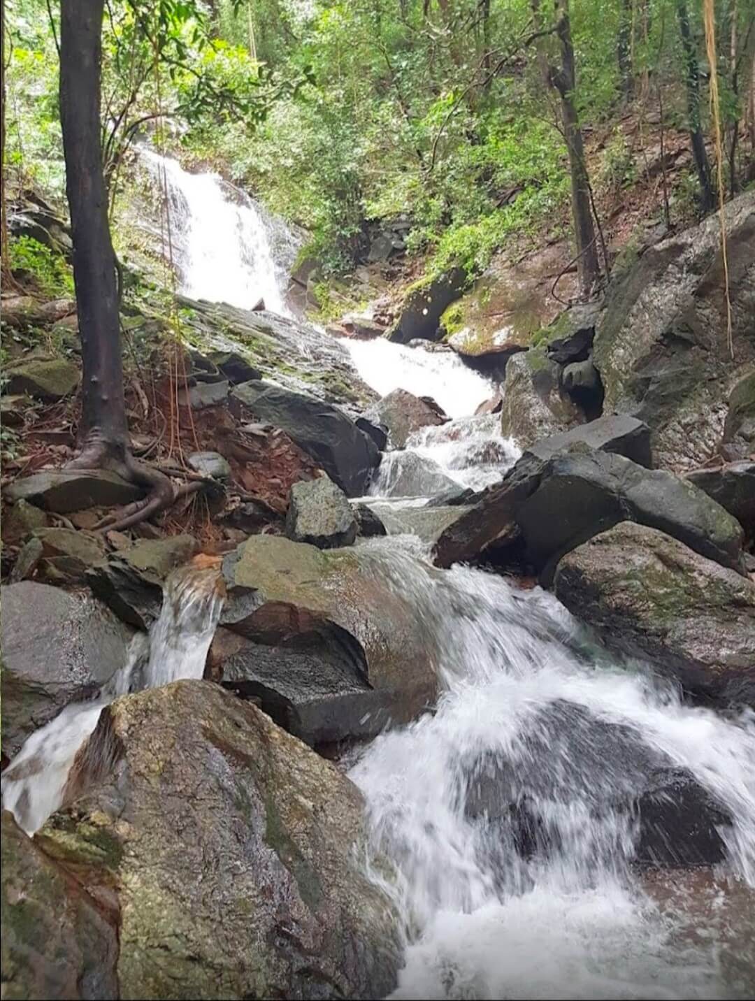 Top 10 Waterfalls In Goa - All About Goa