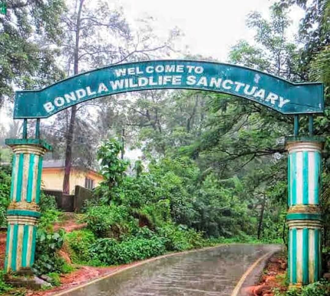 Top 7 Wildlife Sanctuaries In Goa