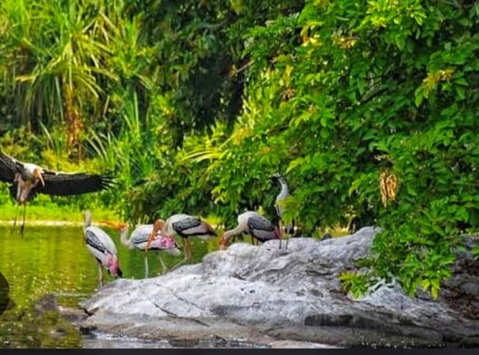 Top 7 Wildlife Sanctuaries In Goa