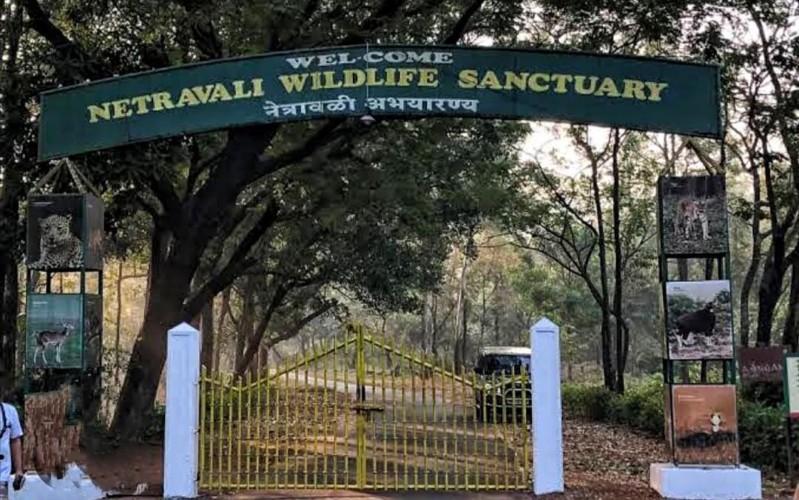 Top 7 Wildlife Sanctuaries In Goa