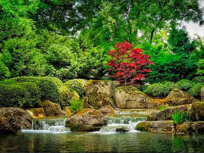 Top 7 Wildlife Sanctuaries In Goa