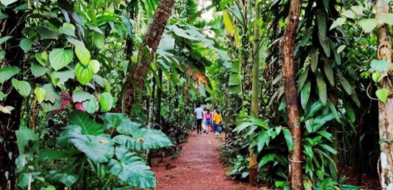 Why To Visit Goa In August 2023 Month - Things To Do & Places To Visit ...