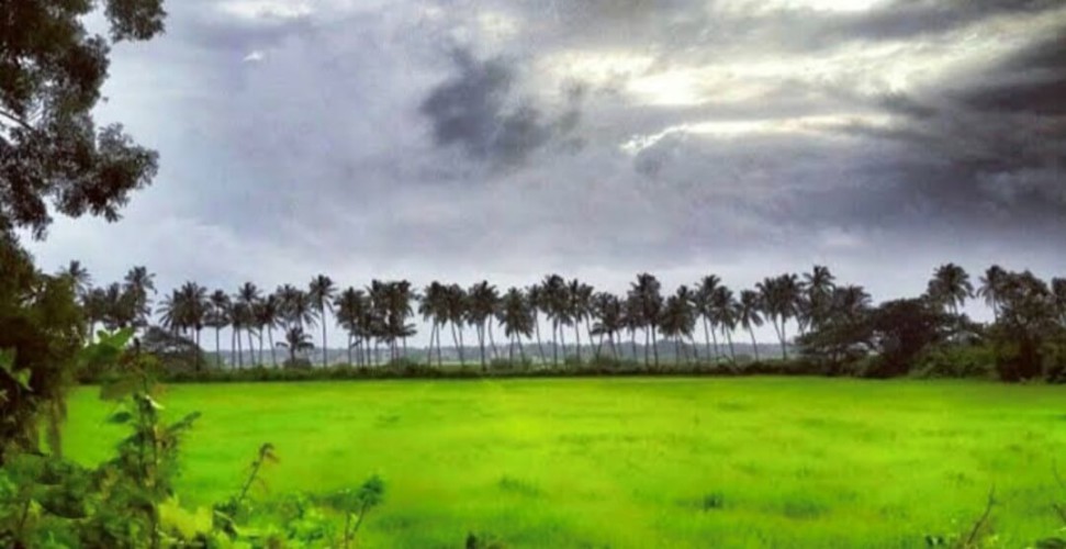 Why To Visit Goa In July 2024 Month - Things To Do & Places To Visit On ...