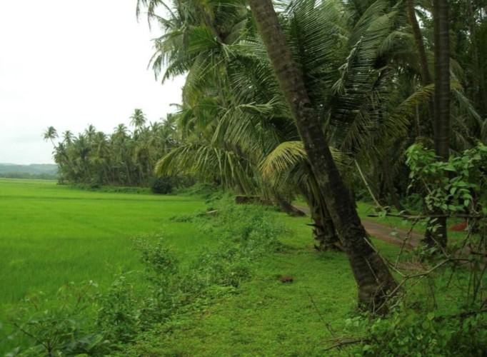 Why To Visit Goa In June 2024 Month - Things To Do & Places To Visit On ...