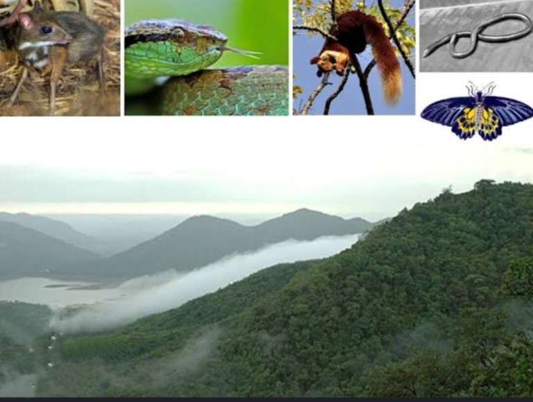 Why To Visit Goa In October 2023 Month - Things To Do & Places To Visit ...