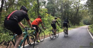 Why To Visit Goa In October 2023 Month - Things To Do & Places To Visit ...