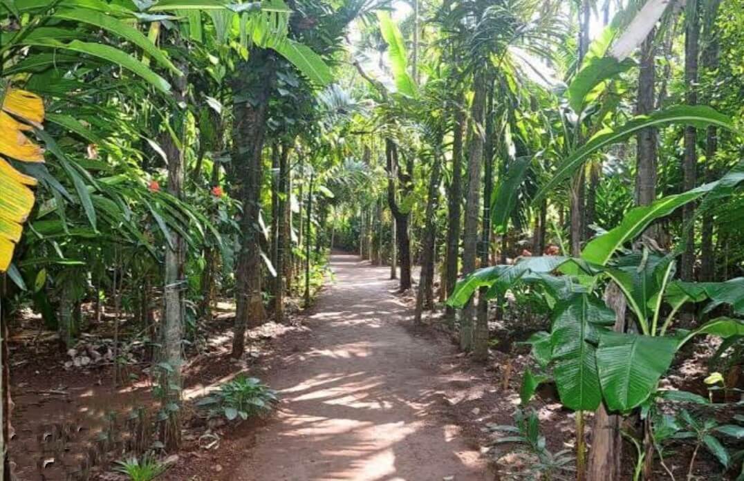 Why To Visit Goa In September 2023 Month - Things To Do & Places To ...