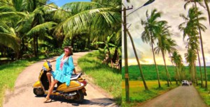 Why To Visit Goa In September 2023 Month - Things To Do & Places To ...