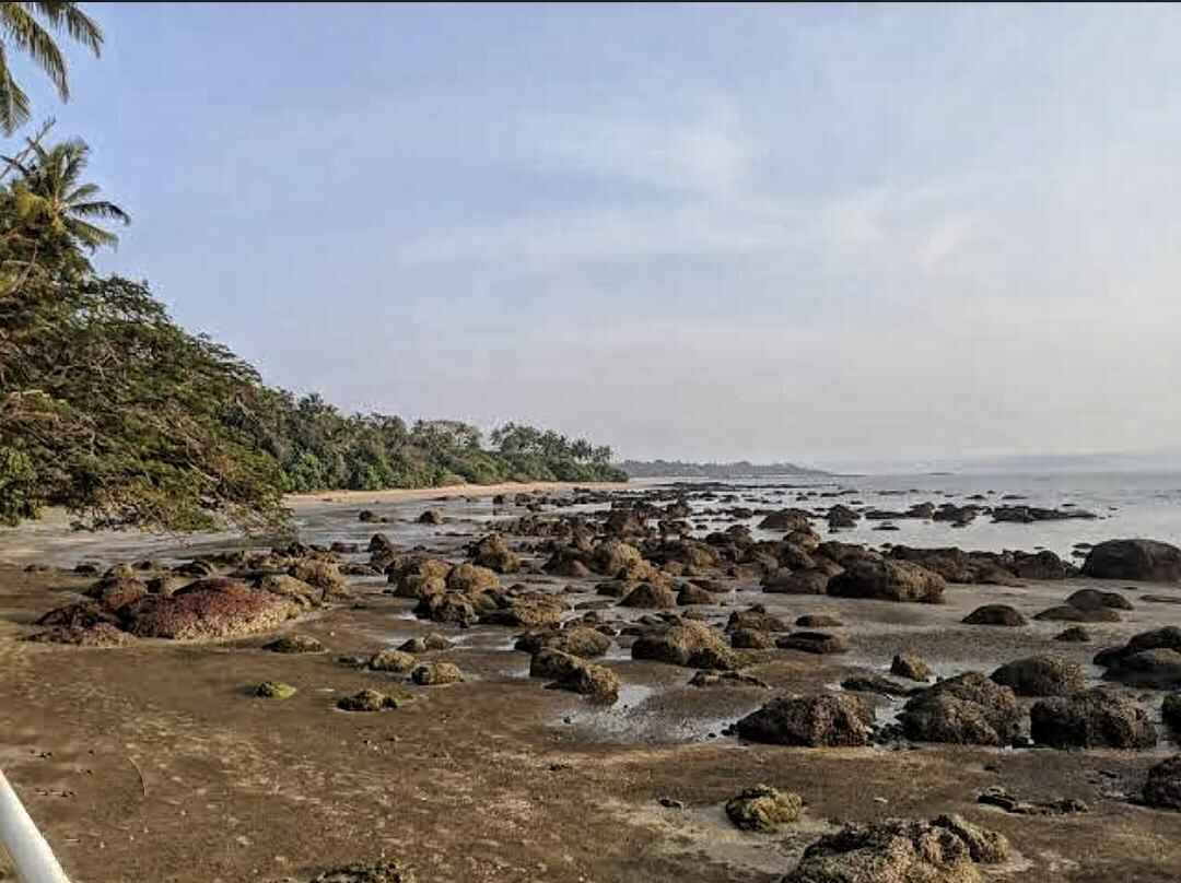 Bambolim Beach - How To Reach, Best Time & Tips | All About Goa