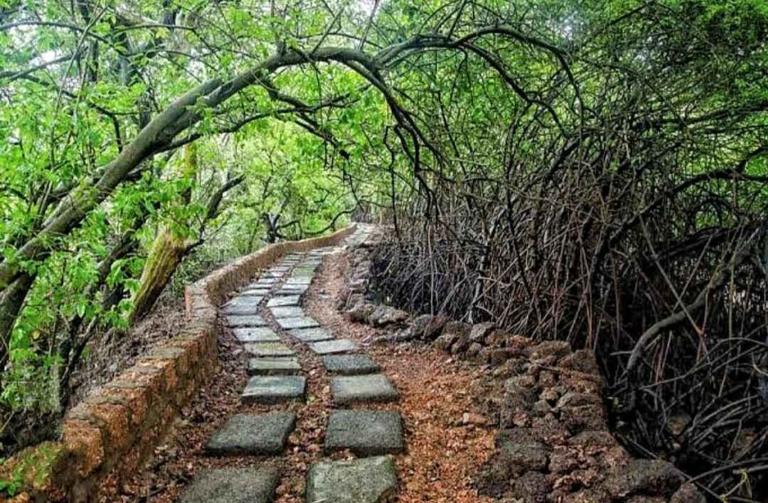 Bambolim Beach - How To Reach, Best Time & Tips | All About Goa