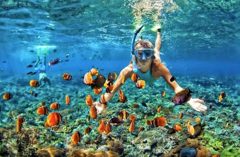 Bambolim Beach - How To Reach, Best Time & Tips | All About Goa