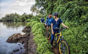 Bambolim Beach - How To Reach, Best Time & Tips | All About Goa