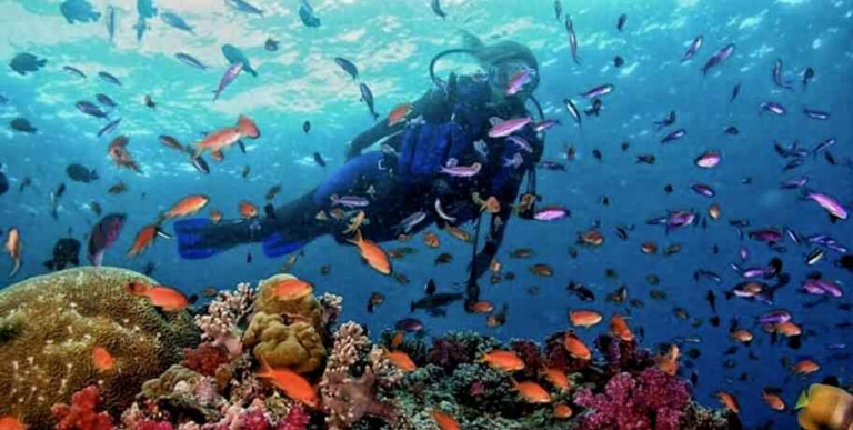 Bogmalo Beach - How To Reach, Best Time & Tips | All About Goa