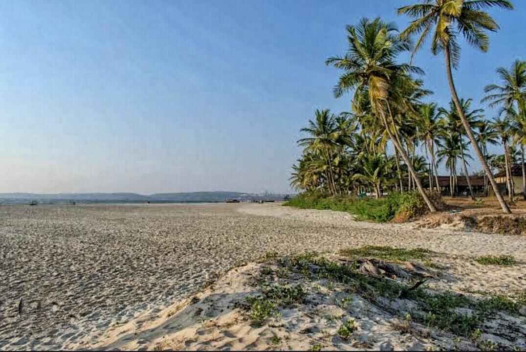 Cansaulim Beach - How To Reach, Best Time & Tips | All About Goa