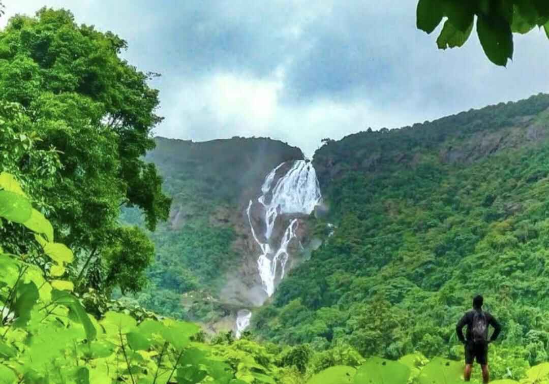 Colva Beach - How To Reach, Best Time & Tips | All About Goa