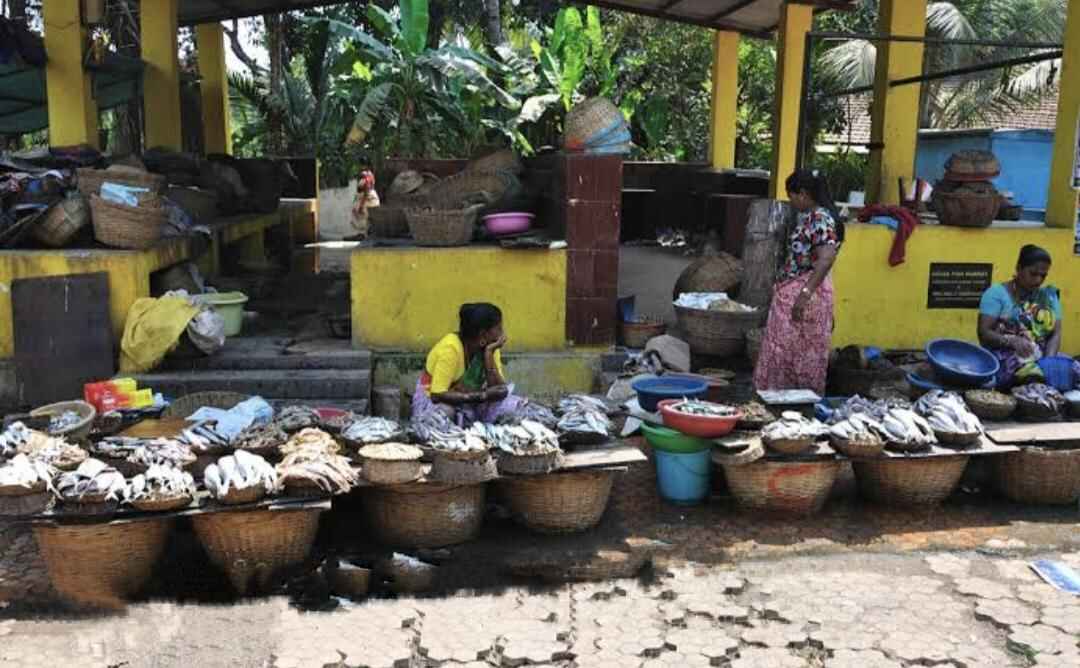 Colva Beach - How To Reach, Best Time & Tips | All About Goa