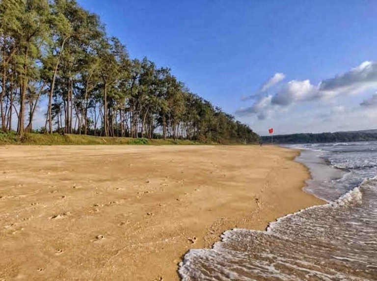 Galgibag Beach - How To Reach, Best Time & Tips | All About Goa