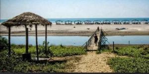 Mandrem Beach - How To Reach, Best Time & Tips | All About Goa