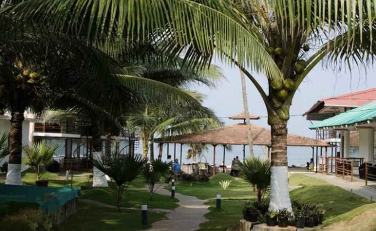 Mandrem Beach - How To Reach, Best Time & Tips | All About Goa