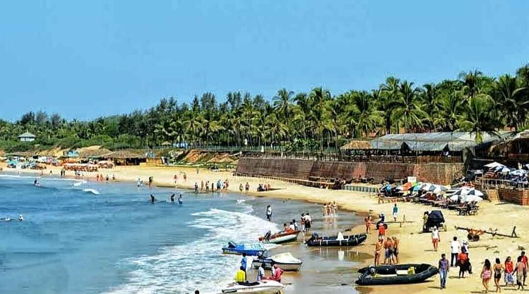 Morjim Beach - How To Reach, Best Time & Tips | All About Goa