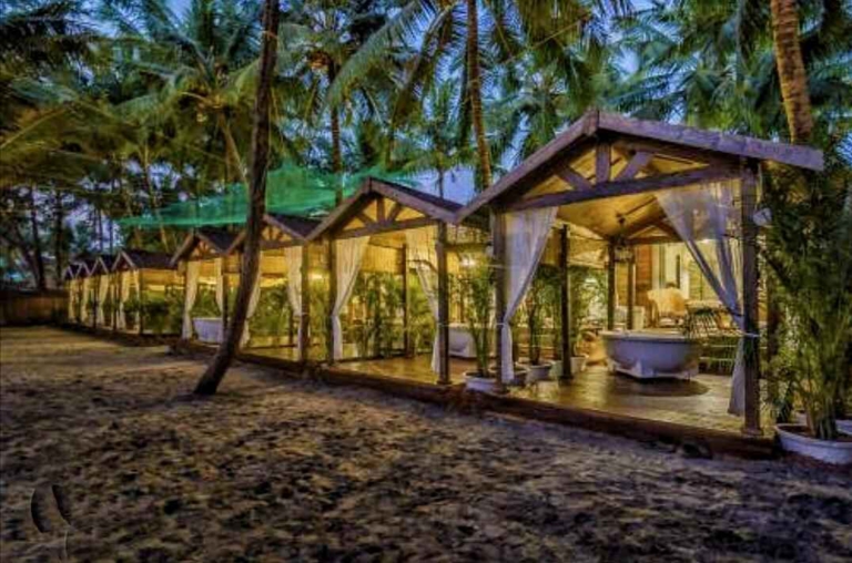 Morjim Beach - How To Reach, Best Time & Tips | All About Goa