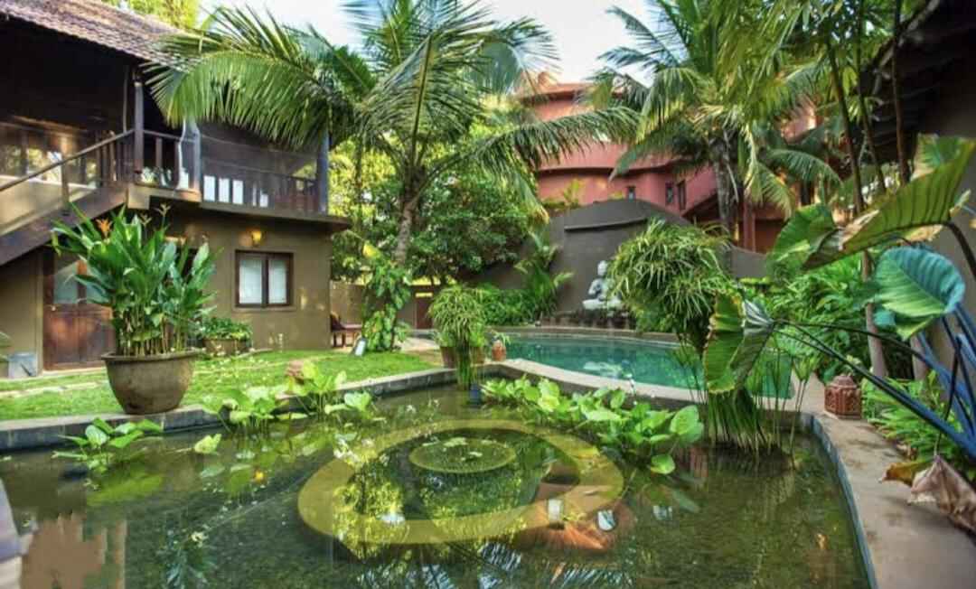 Morjim Beach - How To Reach, Best Time & Tips | All About Goa