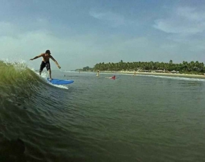 Morjim Beach - How To Reach, Best Time & Tips | All About Goa
