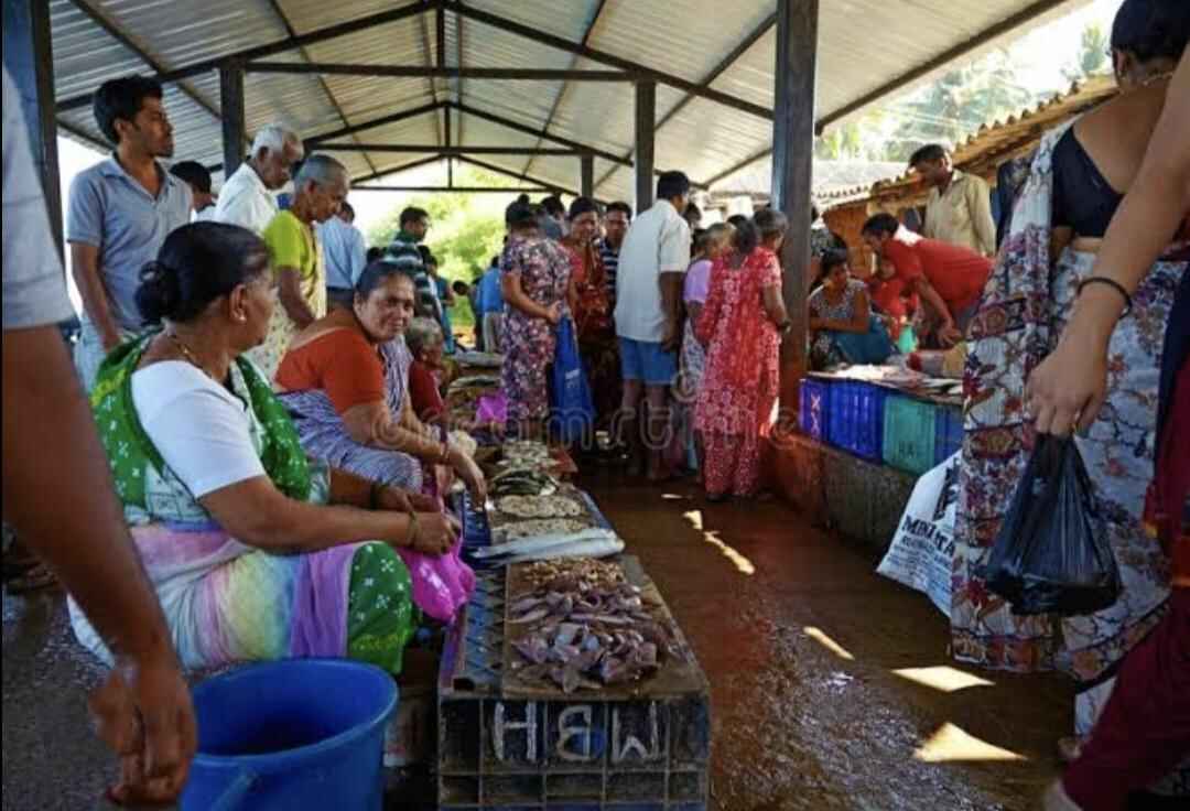 Morjim Beach - How To Reach, Best Time & Tips | All About Goa