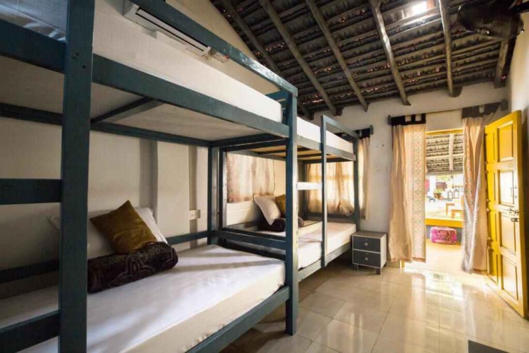 Pappi Chulo Hostel Goa | Contact, Reviews & Other Details