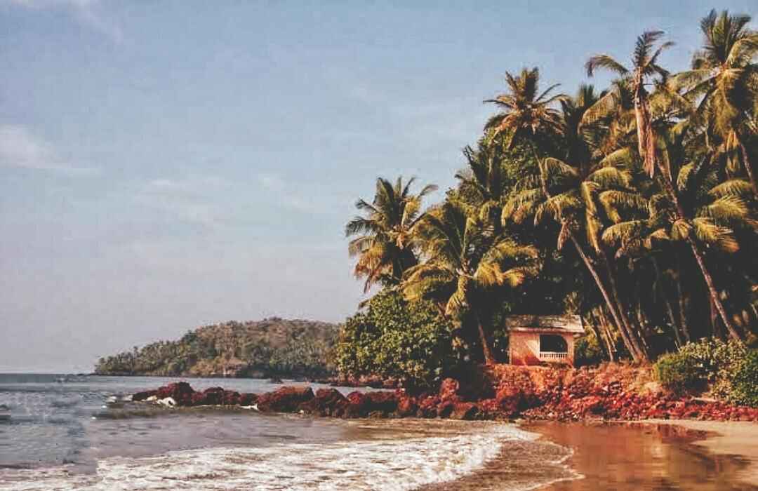Velsao Beach - How To Reach, Best Time & Tips | All About Goa