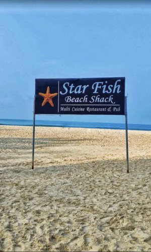 Velsao Beach - How To Reach, Best Time & Tips | All About Goa