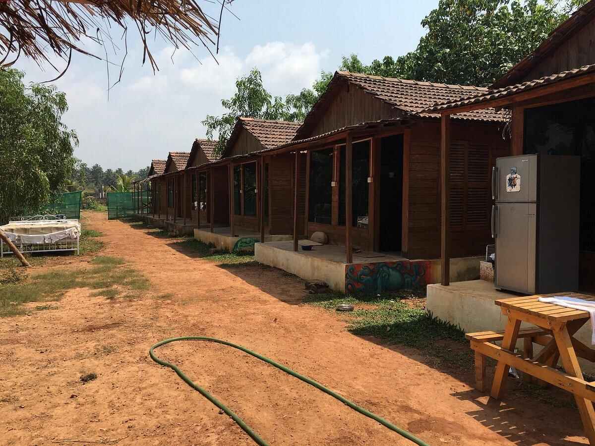 Wonderland Hostel Goa | Contact, Reviews & Other Details