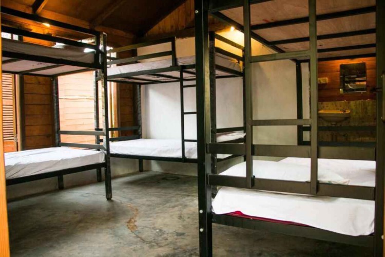 Wonderland Hostel Goa | Contact, Reviews & Other Details