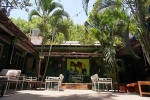 The Jungle Hostel Goa | Contact, Reviews & Other Details