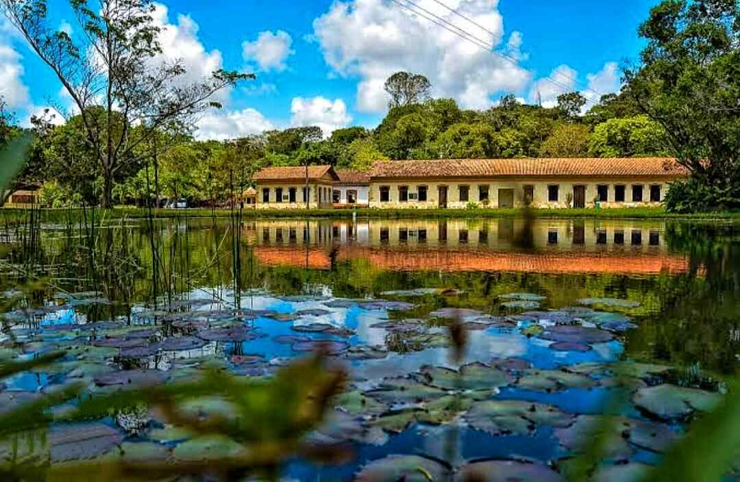 Top 8 Brazilian Nude Beaches