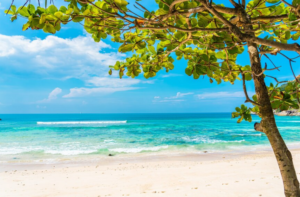 Why Choose Puerto Rico As Your Next Destination - All About Goa